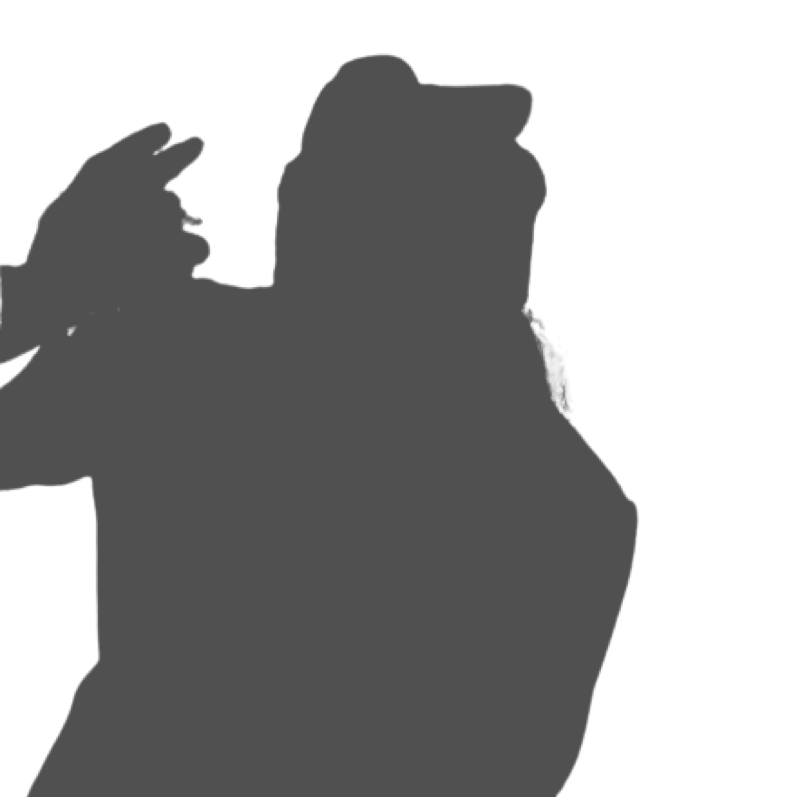 Non Sports slab keychains – The Velcro Viking